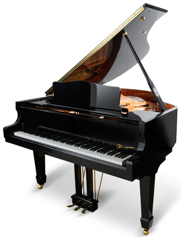 Our Pianos | Danemann Pianos | Danemann Pianos